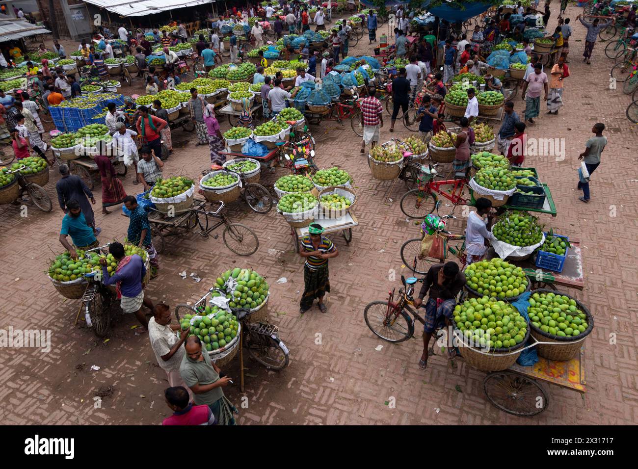 Chapainawabganj, Rajshahi, Bangladesh. 24th Apr, 2024. Thousands of ...