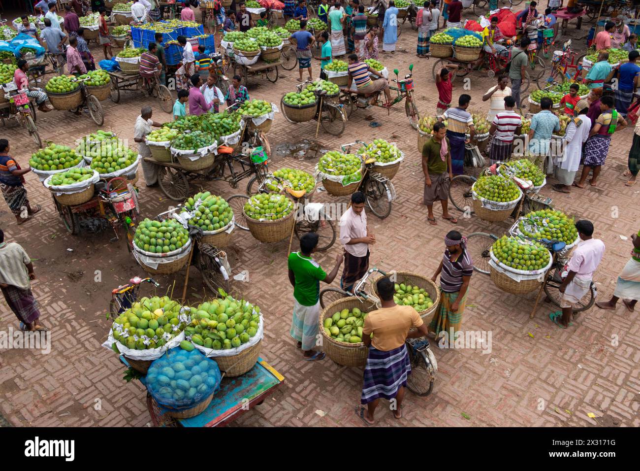 Chapainawabganj, Rajshahi, Bangladesh. 24th Apr, 2024. Thousands of ...