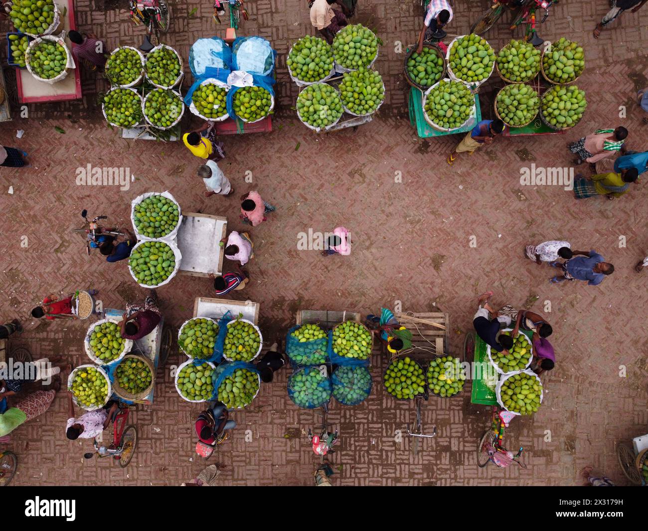 Chapainawabganj, Rajshahi, Bangladesh. 24th Apr, 2024. Thousands of ...