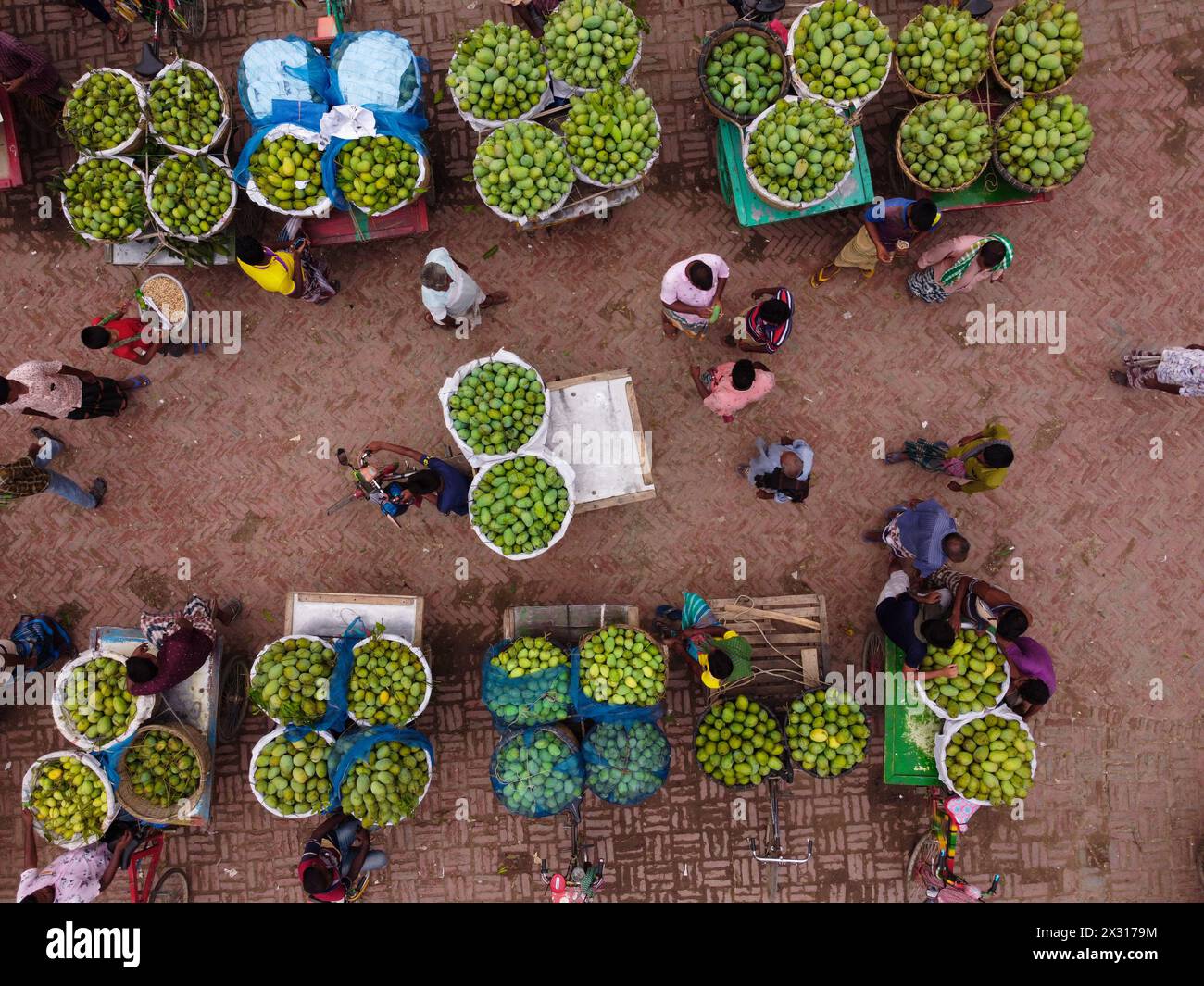 Chapainawabganj, Rajshahi, Bangladesh. 24th Apr, 2024. Thousands of ...
