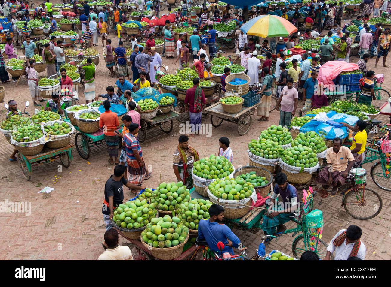 April 24, 2024, Chapainawabganj, Rajshahi, Bangladesh: Thousands of ...
