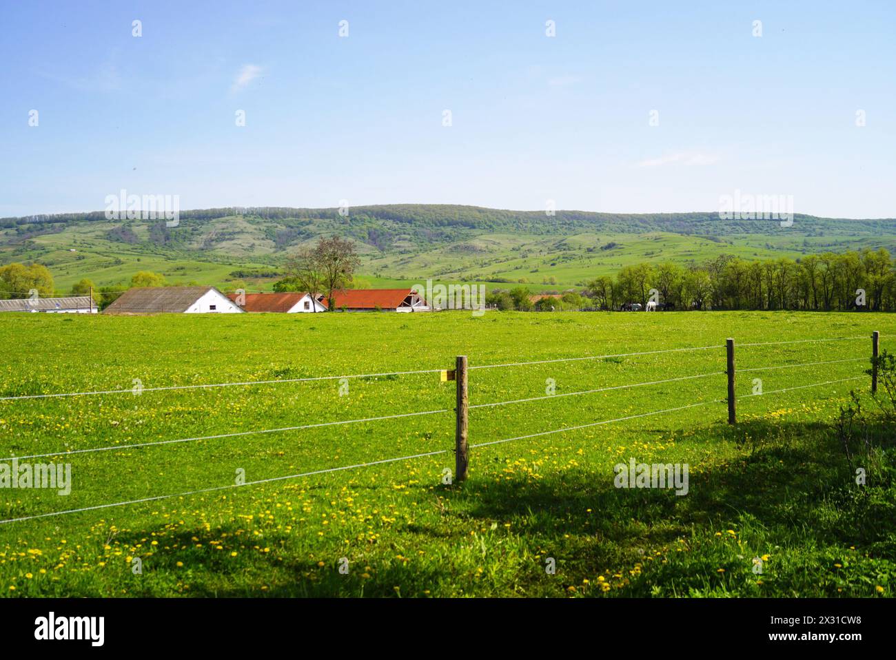 Spring landscape from the Romanian village of Viscri - green field with ...