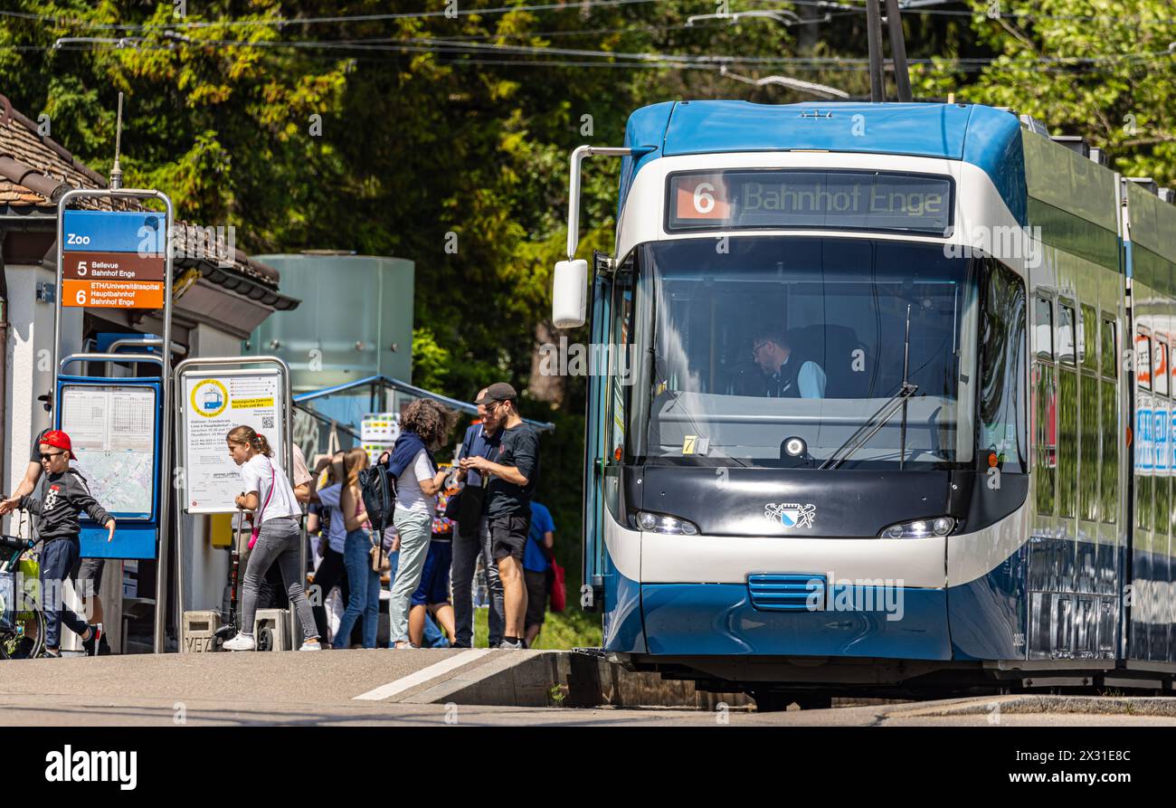 Ein Cobra Tram, oder VBZ Tram Be 5/6, der Zürcher Verkehrsbetriebe ...