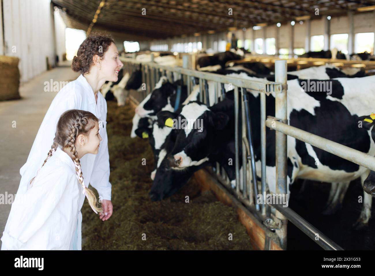 Smiling mother and little daughter look at many cows in stall Stock ...