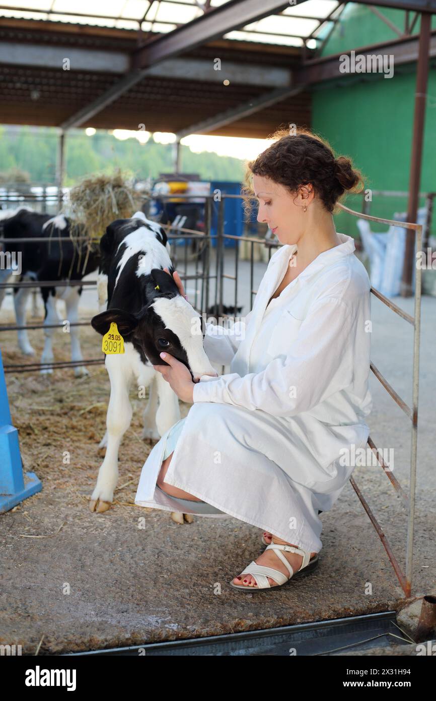Beautiful woman in white robe caresses small cute calf in big cow farm ...