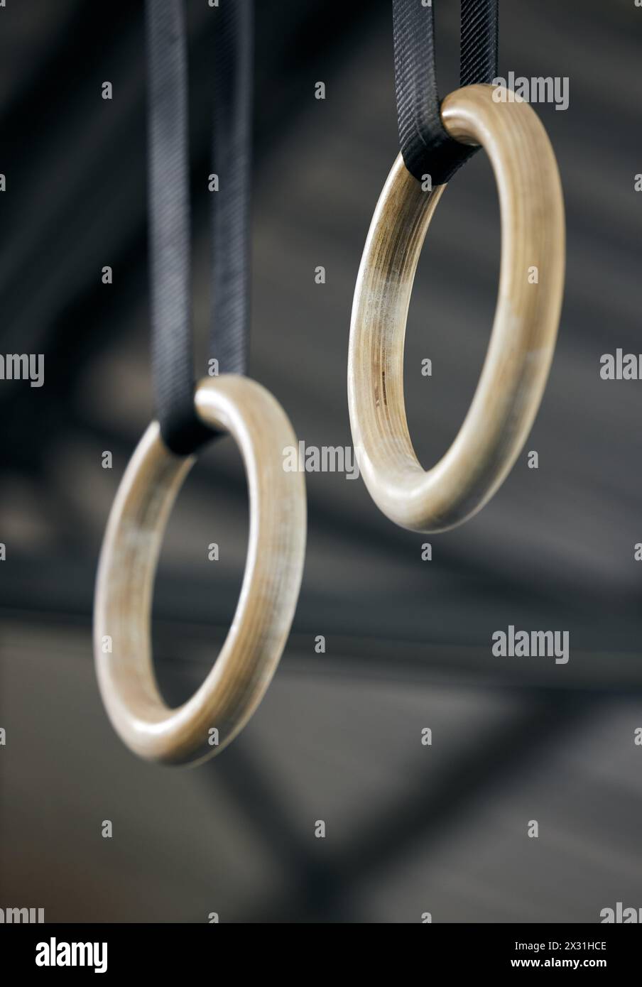 Gym, equipment and rings for exercise, gymnastic and sports for ...