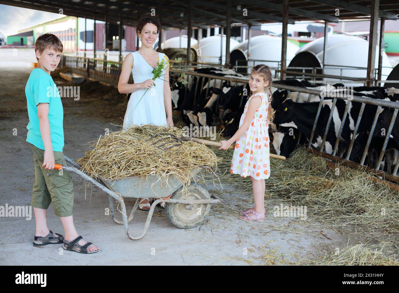 Boy keeps trolley with hay and girl loads hay by pitchfork and mother ...