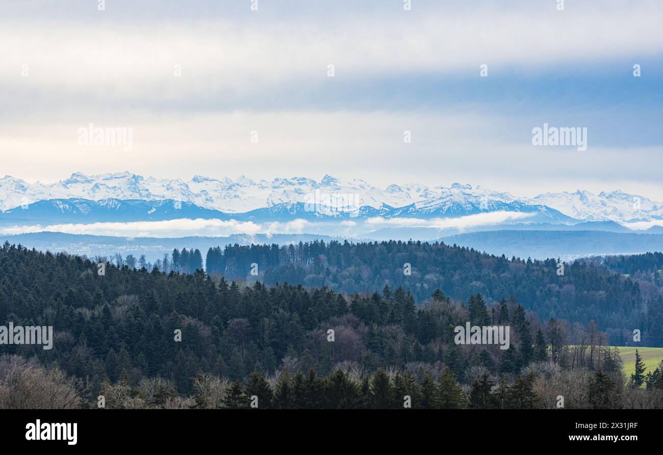 Blick vom Zürcher Unterland auf die Berner Alpen im Berner Oberland. In ...