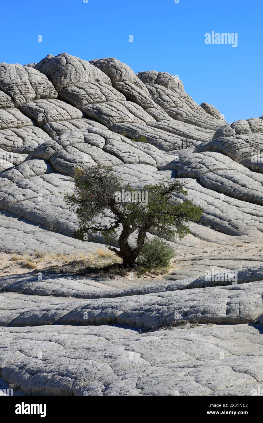 geography / travel, USA, Arizona, Vermillion Cliffs National Monument ...
