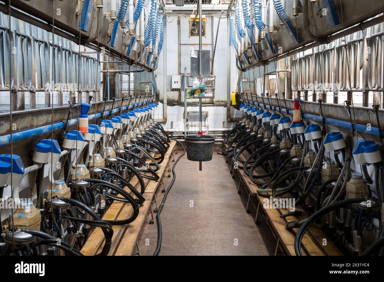 Equipment milking machines on dairy hi-res stock photography and images ...