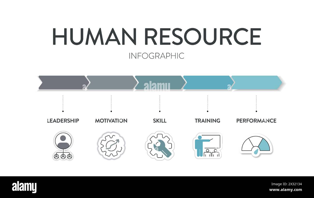 Human Resource Management System (HRMS) strategy infographic diagram ...