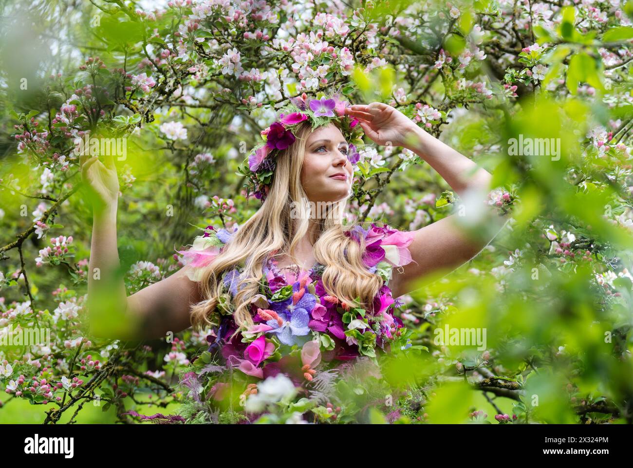 Primavera 2024 hi-res stock photography and images - Alamy