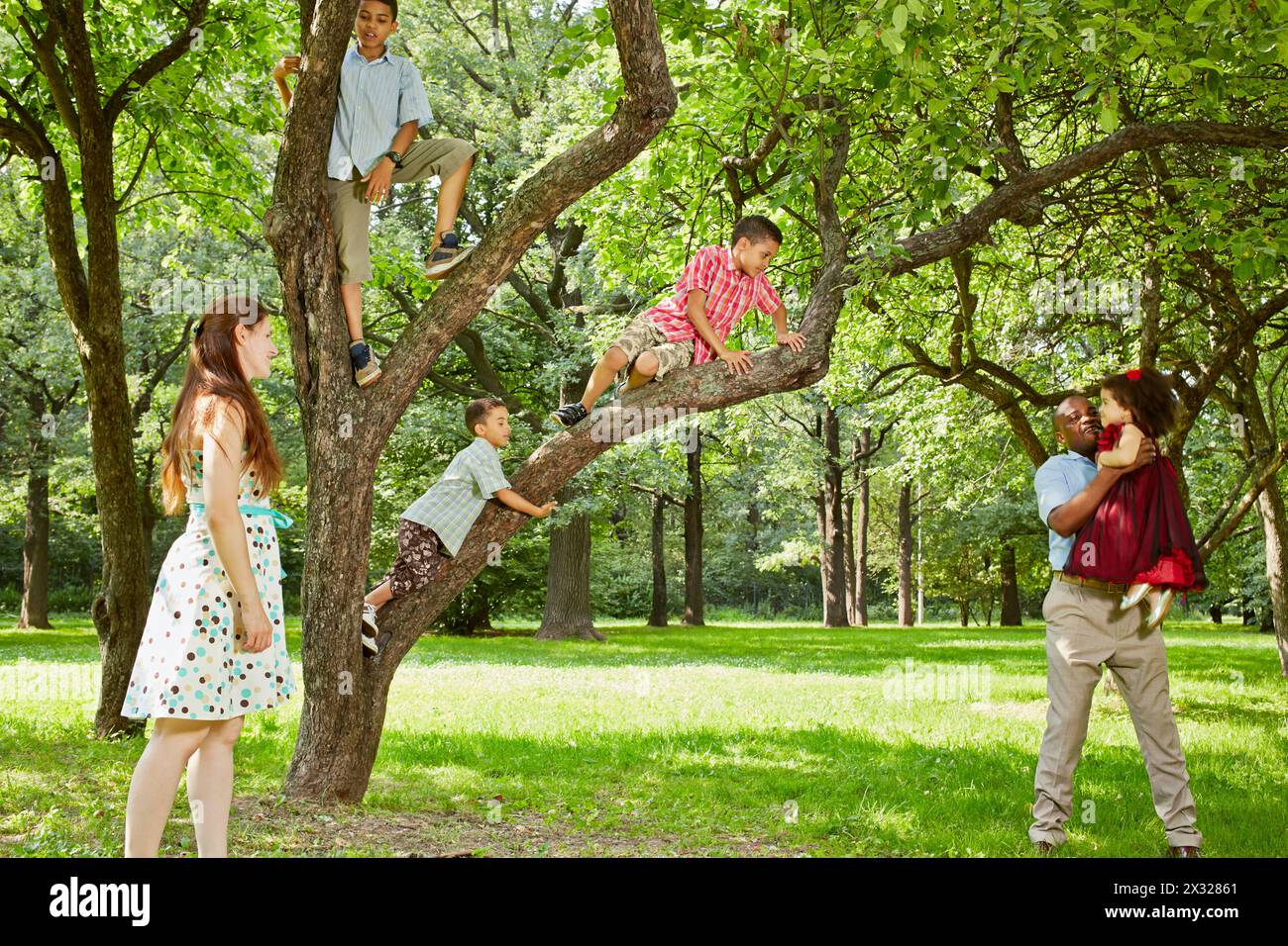 Family tree stands hi-res stock photography and images - Alamy