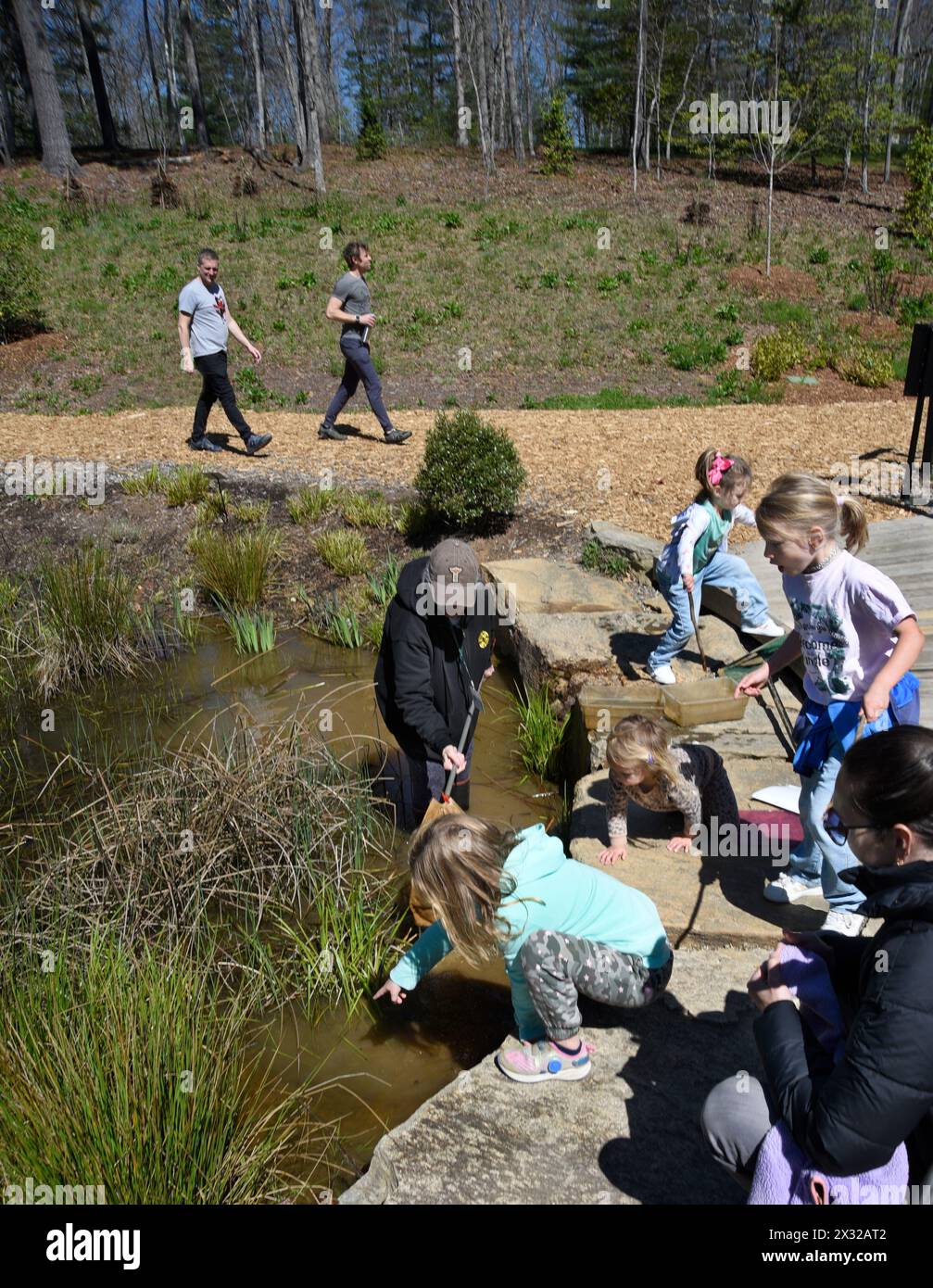 Girls in a nature class watch as a volunteer educator uses a net to ...