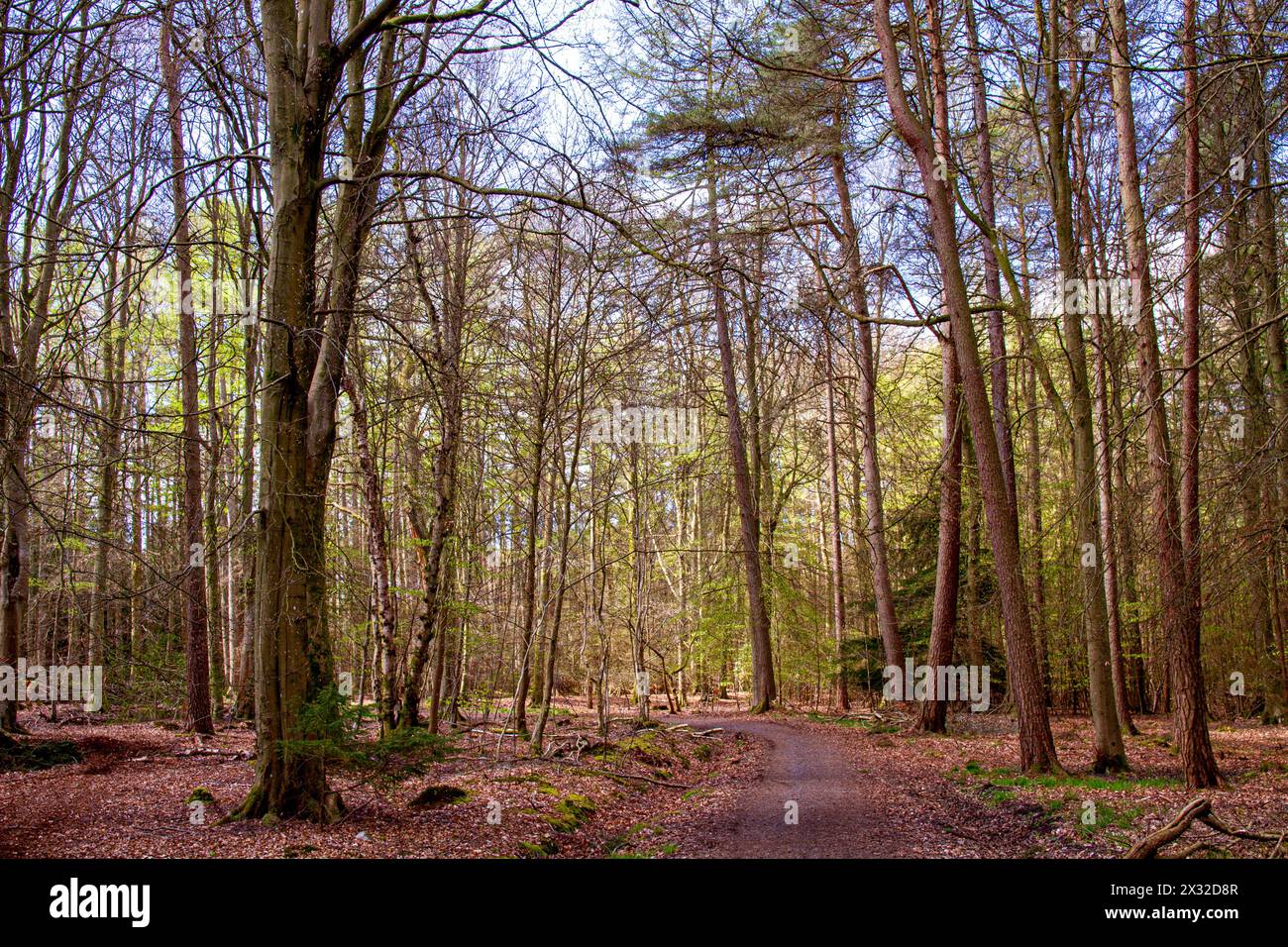 Dundee, Tayside, Scotland, UK. 24th Apr, 2024. UK Weather: Stunning ...