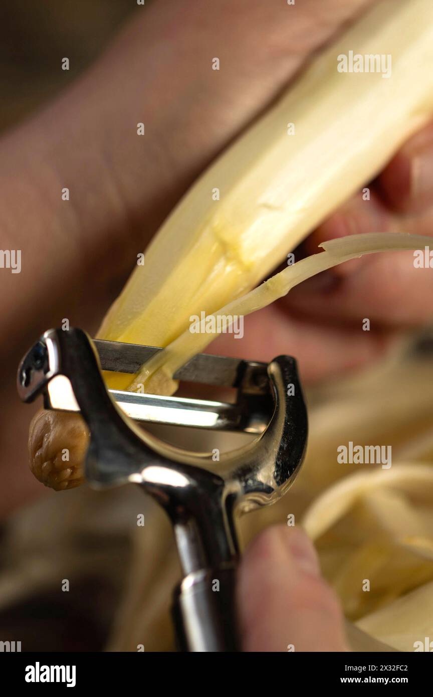 Von Mitte April bis Ende Juni ist Spargelzeit. Der Spargel-Klassiker ...