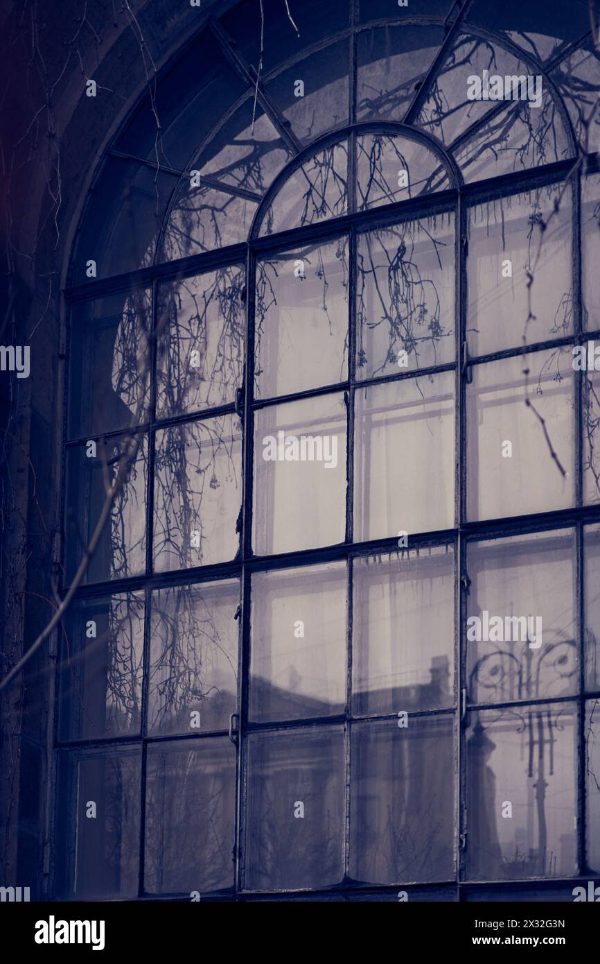 Halloween window background, an ominous night window with a shadow from ...