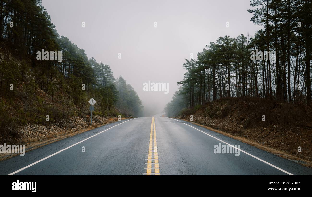 Empty road surrounded trees in hi-res stock photography and images - Alamy