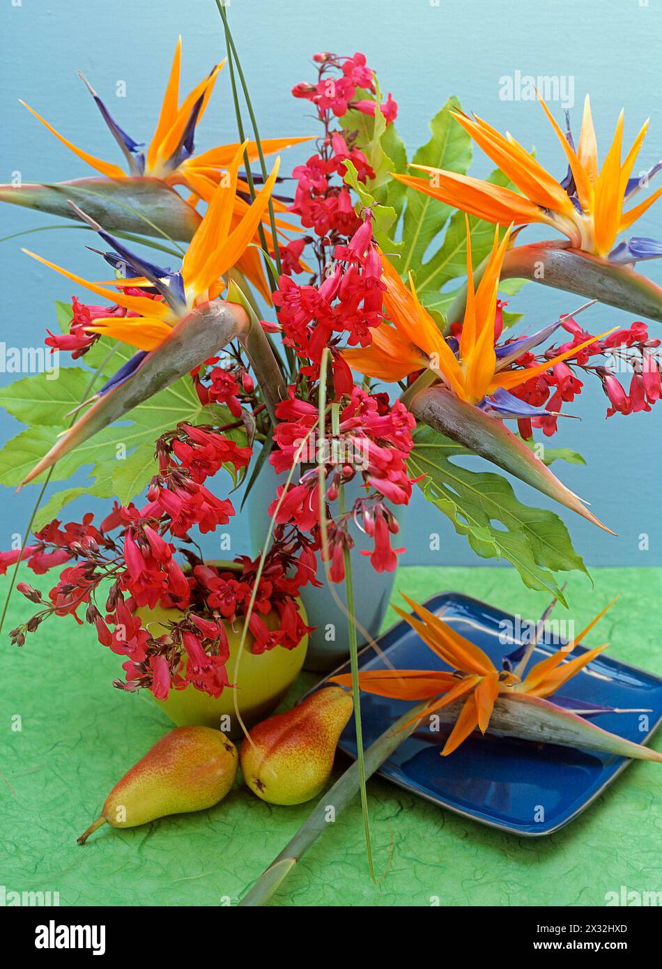 Strelitzia arrangement hi-res stock photography and images - Alamy