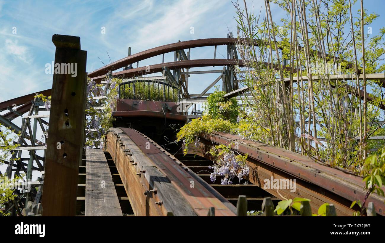 New hybrid roller coaster "Untamed" in the background, in front of it ...