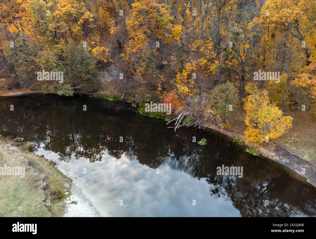 Aerial autumn river shore with vibrant golden trees forest in Ukraine ...