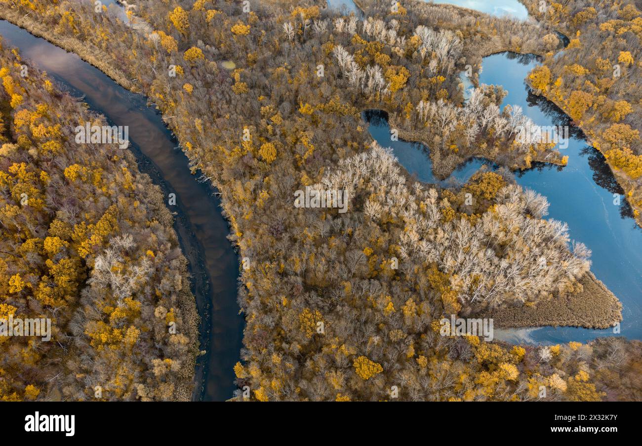 Aerial look down on river curves with blue mirror water and autumn golden forest on riverbanks ...