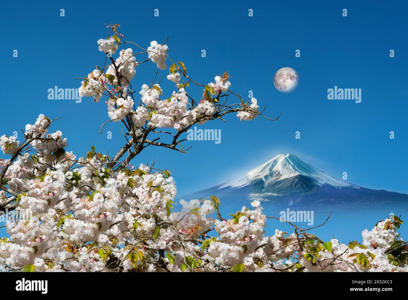 Japan mt fuji spring hi-res stock photography and images - Alamy