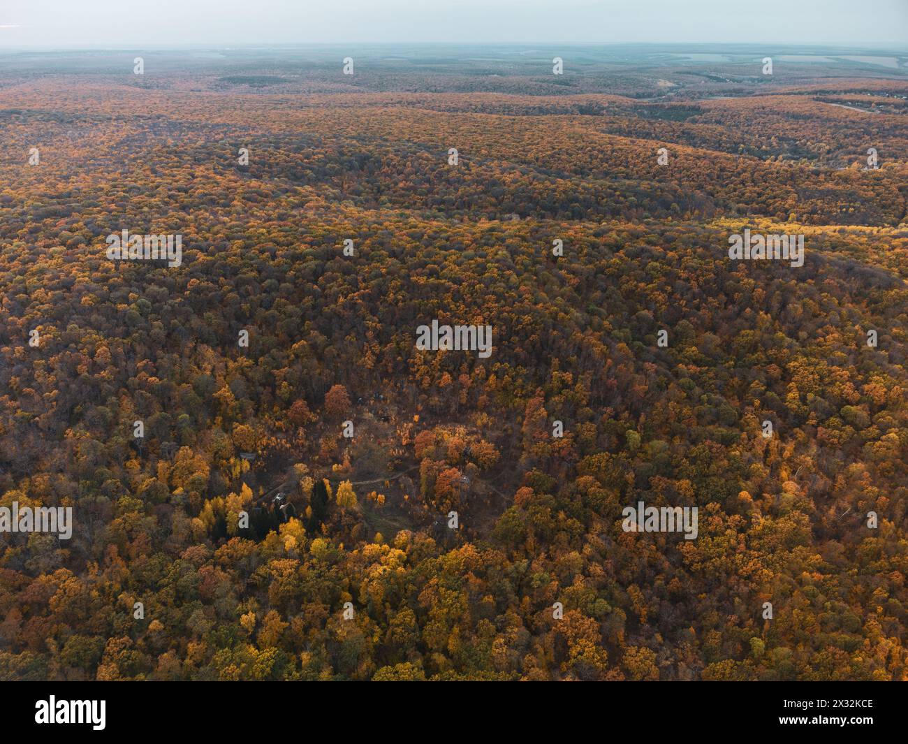 Autumn golden trees forest on hills aerial scenery with grey sky Stock ...