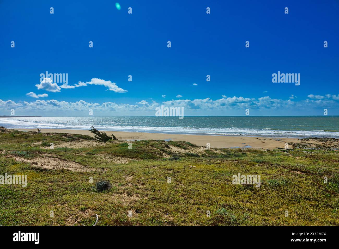 Glorious beach scene with blue sky,green grass and blue sea Stock Photo ...
