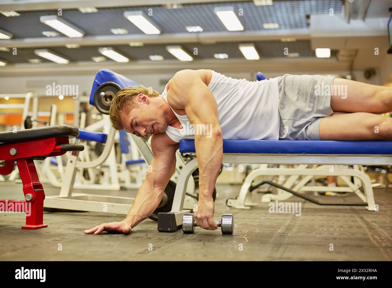 Bodybuilder workouts exercise with dumbbell lying on bench in gym hall ...