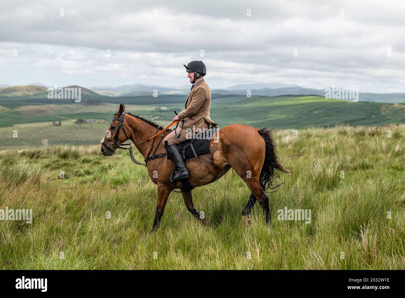 Scottish rugby union hi-res stock photography and images - Alamy