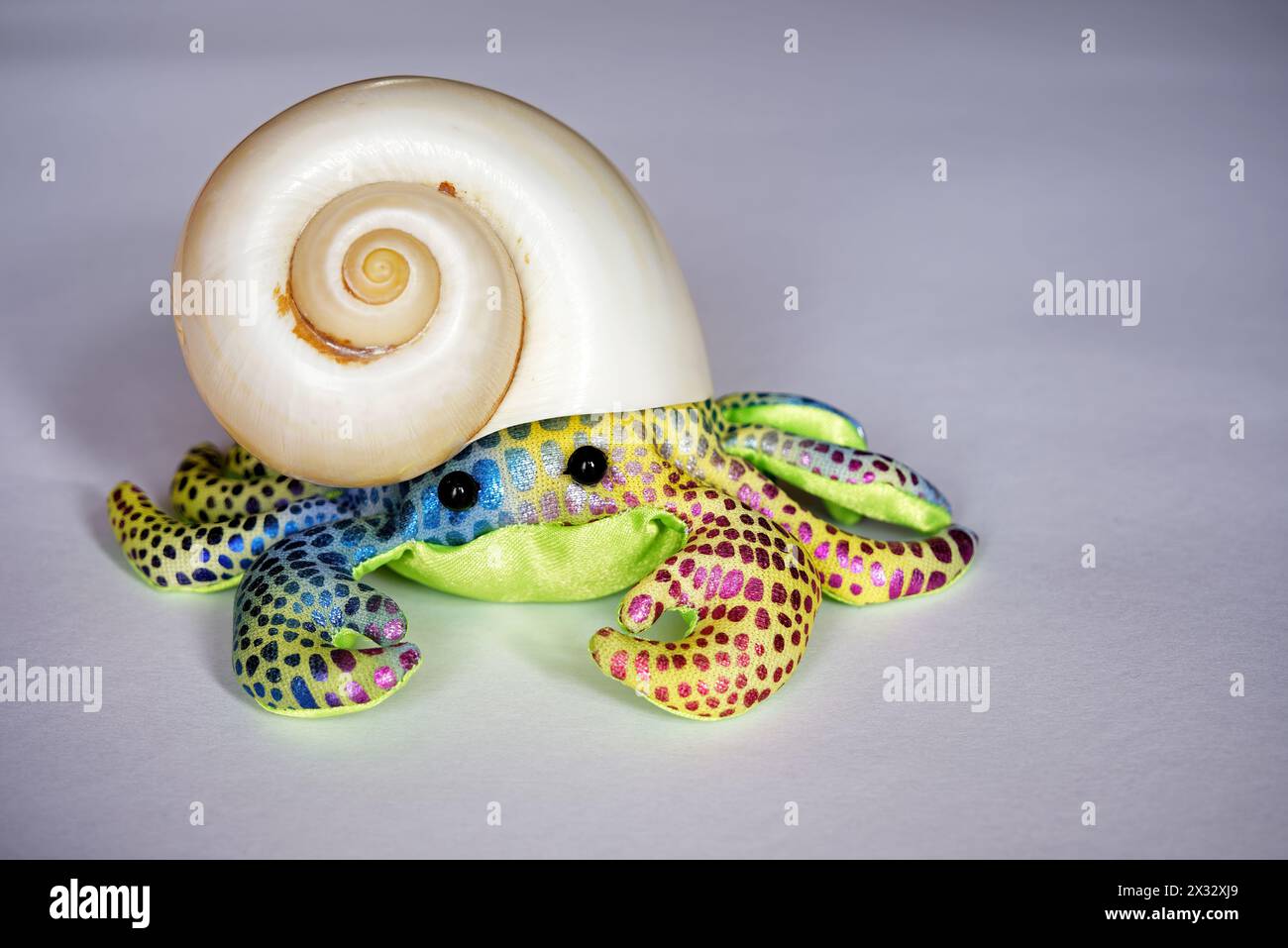 Cute, spotty, shiny, multicoloured sand-animal crab with sea shell ...