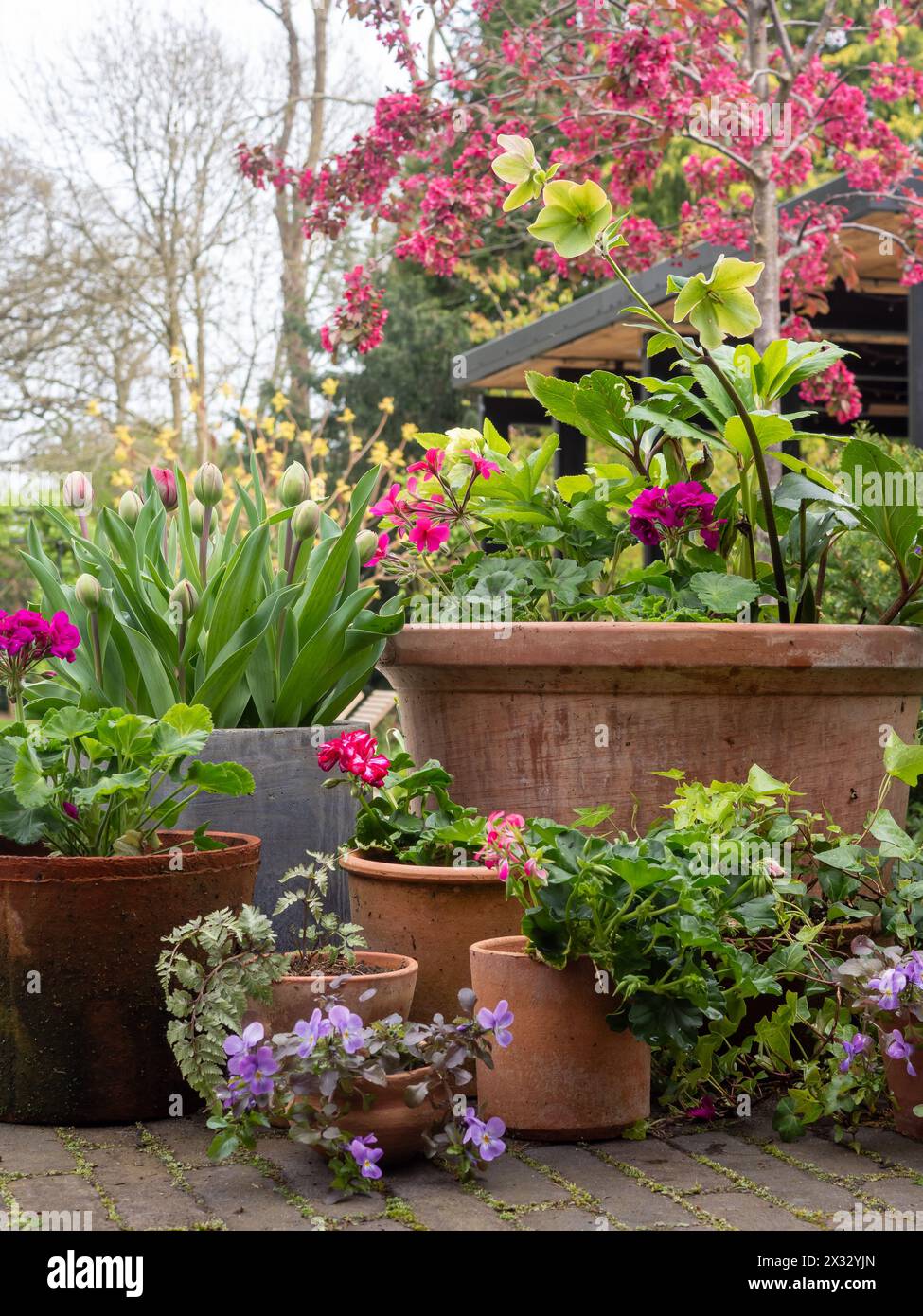 Pops of colour hi-res stock photography and images - Alamy