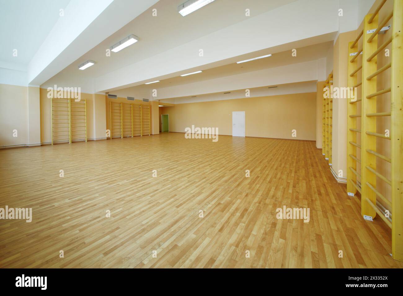 Empty school gymnasium with yellow floor and climbing near walls Stock ...