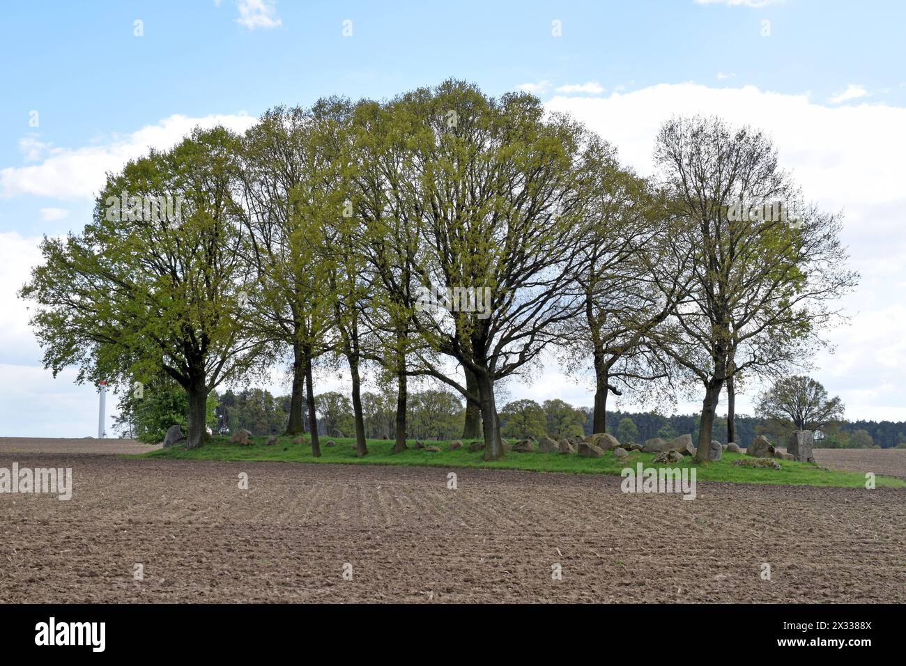 Feld der grabsteine hi-res stock photography and images - Alamy