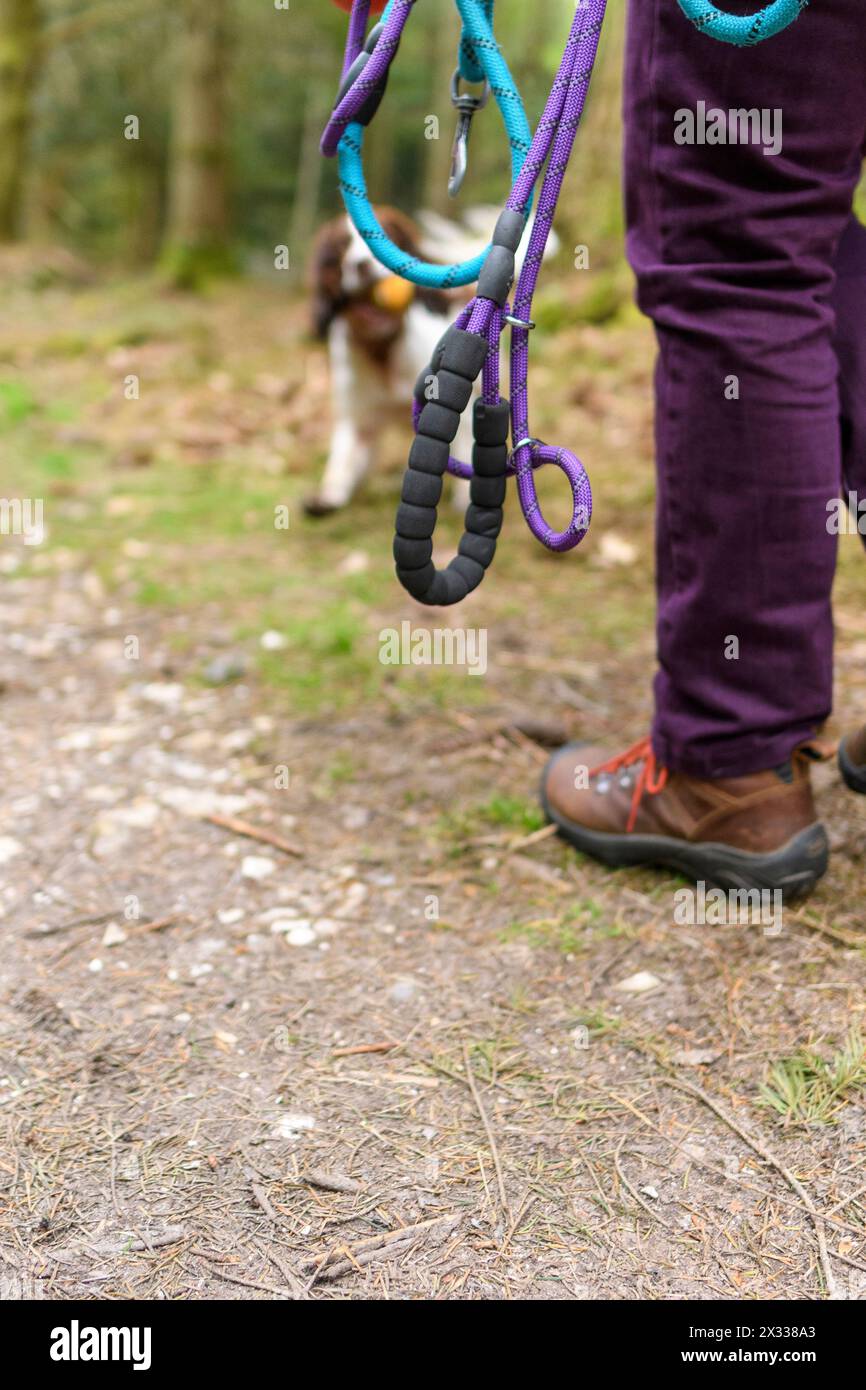 Carrying dog leads, walking a dog, countryside Stock Photo - Alamy