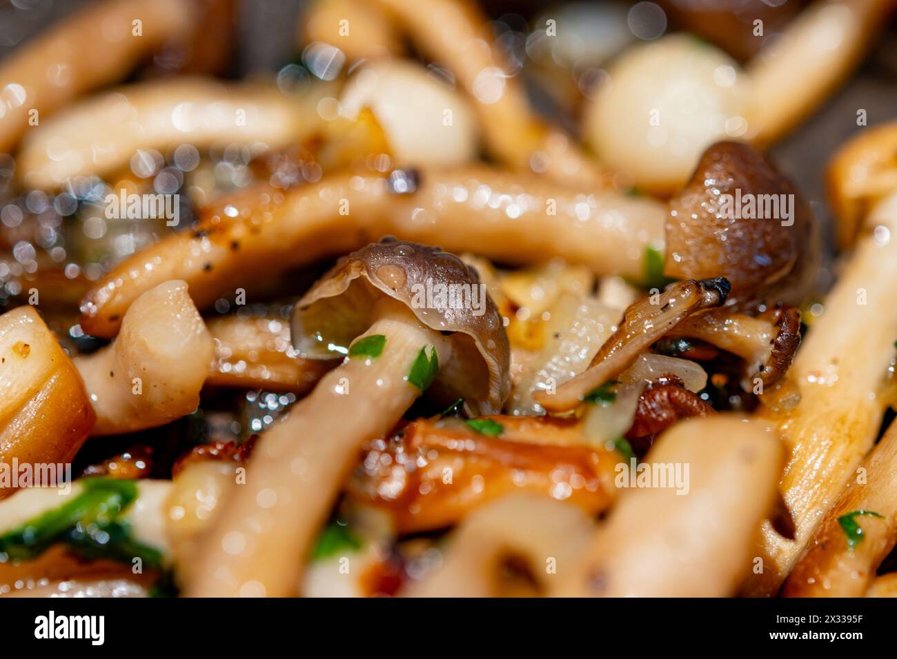 Roasted with onion white and brown shimeji edible mushrooms native to ...