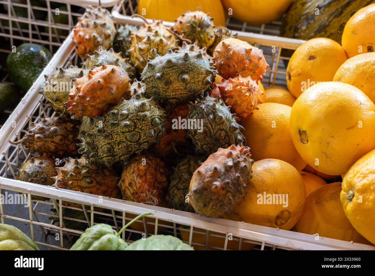 Kiwano tropical fruits, African horned cucumber, horned melon, spiked ...