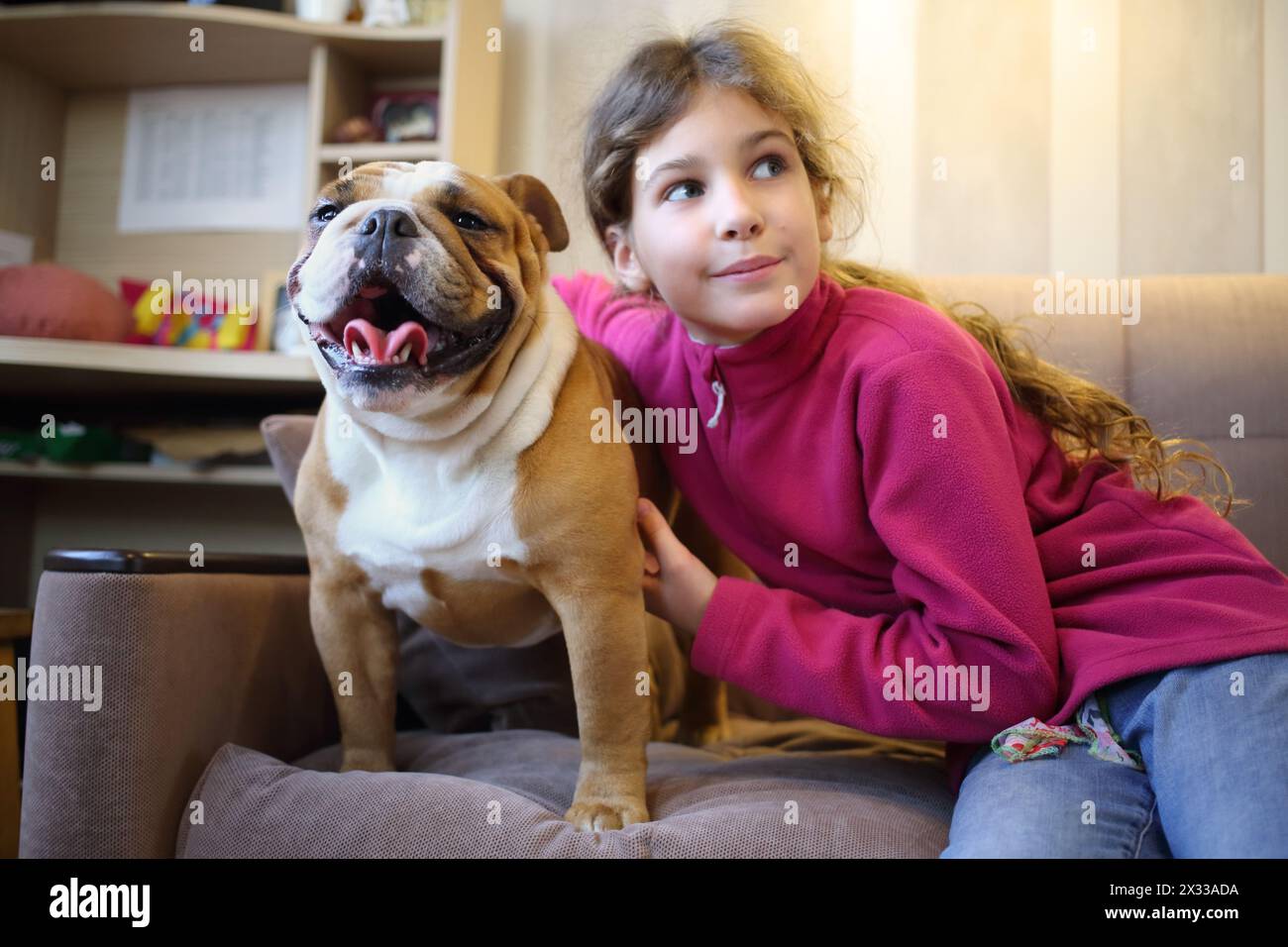 Girl hugging an English bulldog on a couch in the room, focus on the ...