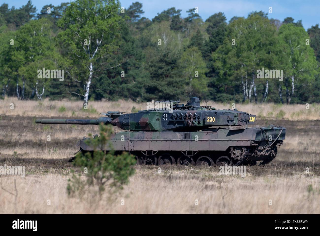 Kampfpanzer Leopard 2 A6 im Gelaende, Bundespraesident Frank-Walter STEINMEIER besucht die ...