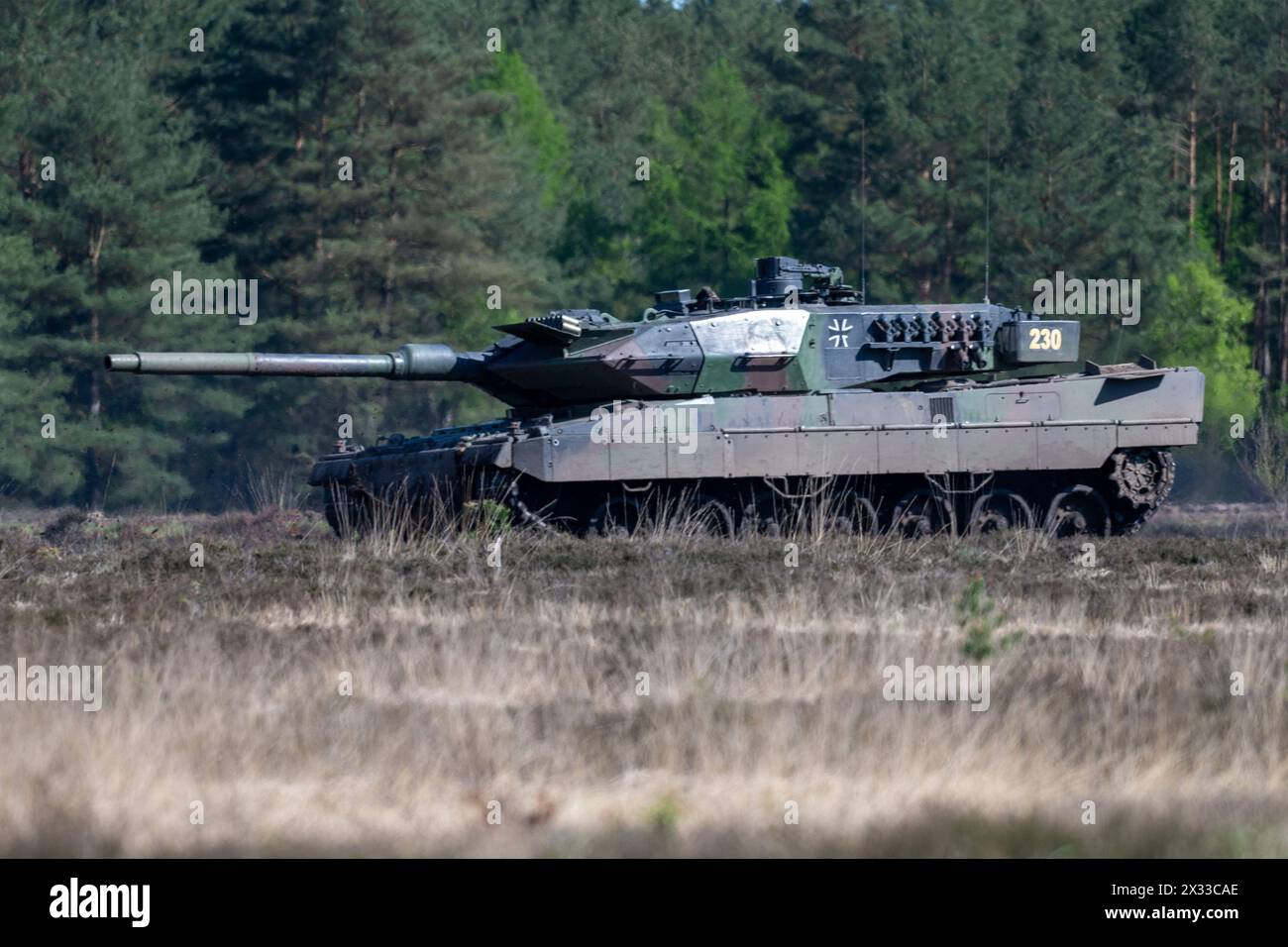 Kampfpanzer Leopard 2 A6 im Gelaende, Bundespraesident Frank-Walter STEINMEIER besucht die ...