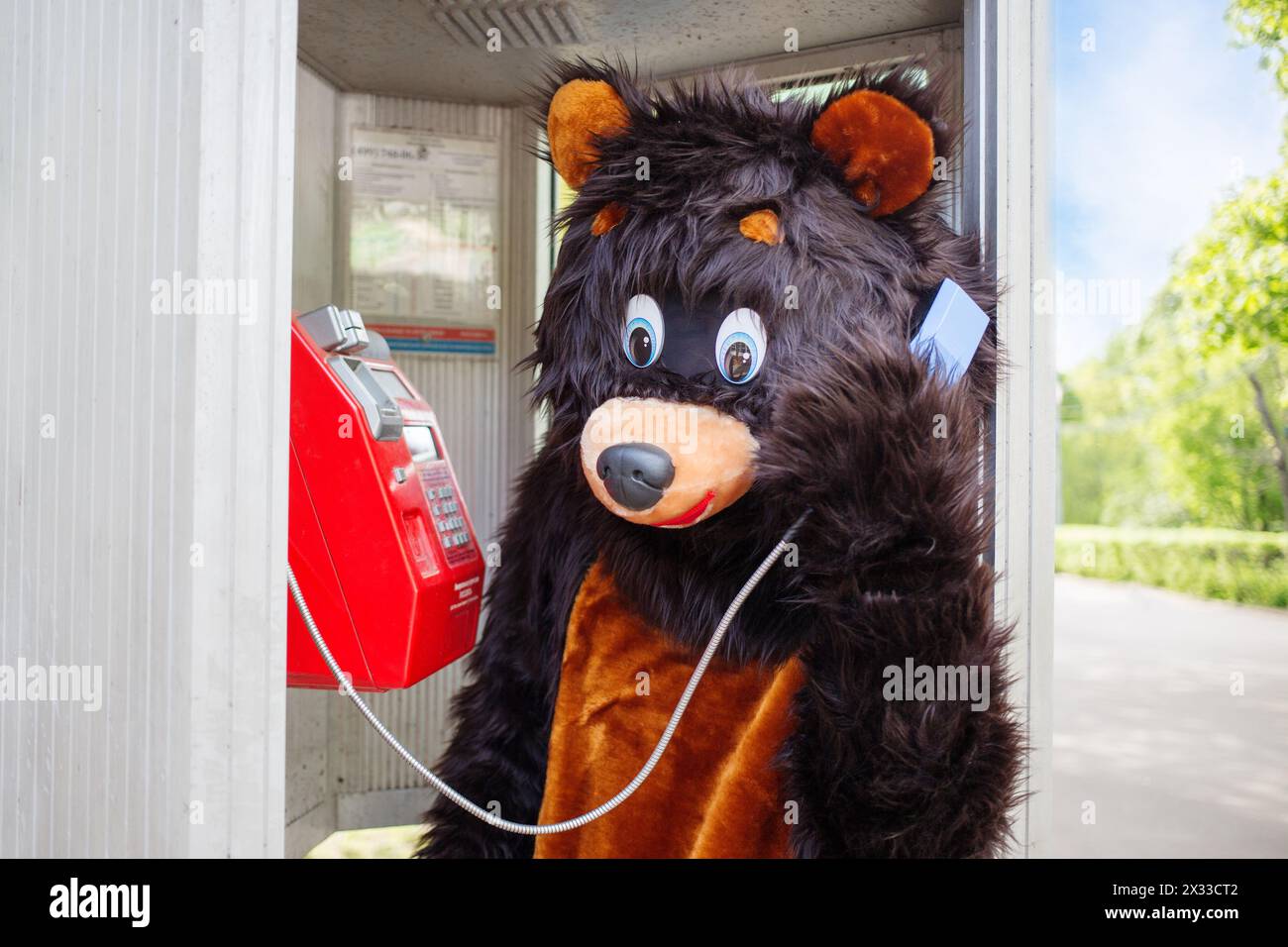 actor dressed as bear talks on red public telephone Stock Photo - Alamy