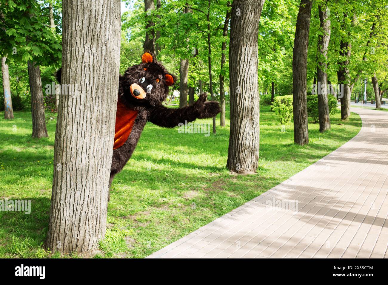 actor dressed as bear peeking out from behind a tree in a park with ...