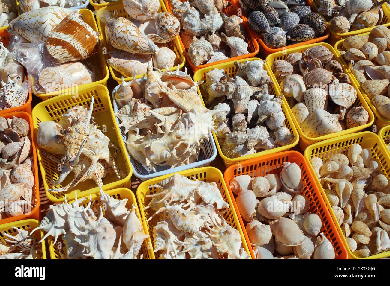 Variety showcases hi-res stock photography and images - Alamy