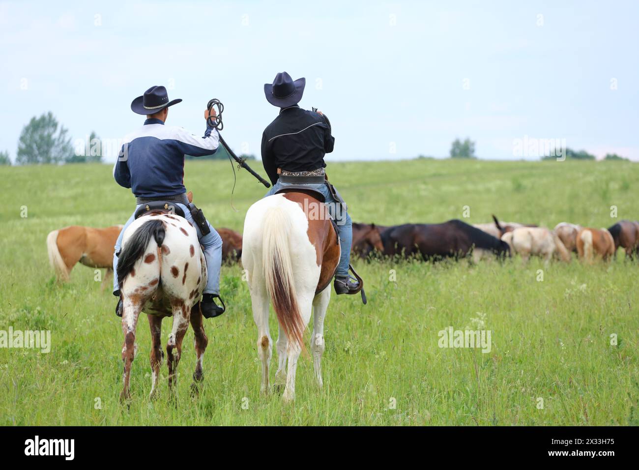 Two cowboys riding horses hi-res stock photography and images - Alamy