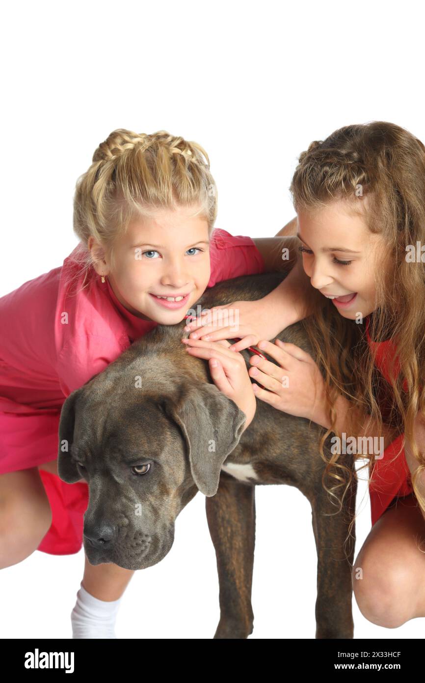 Two beautiful girls hugging the big dog isolated on white. Focus on ...