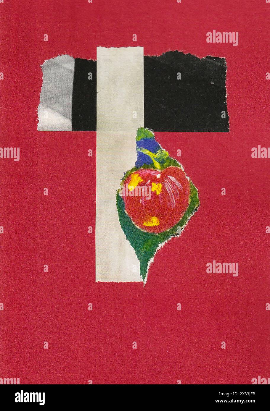 modern collage on a red background with a flower and black stripes ...