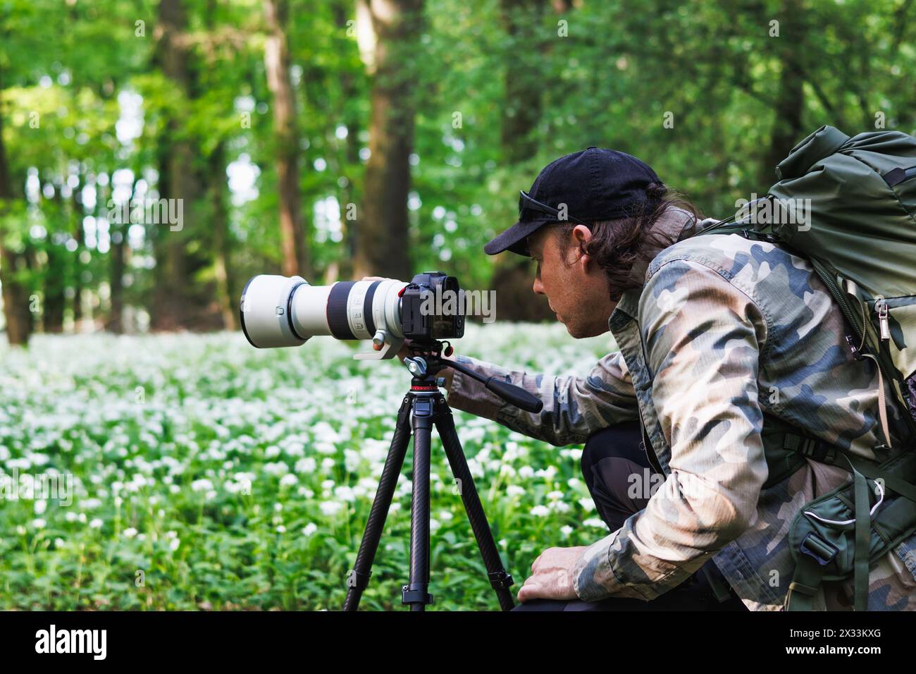 Wildlife photographer is setting camera on tripod. Man is photographing ...