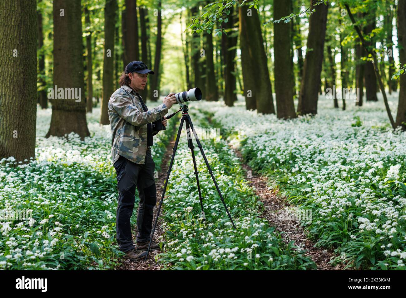 Landscape or wildlife photographer is setting camera on tripod. Man is ...