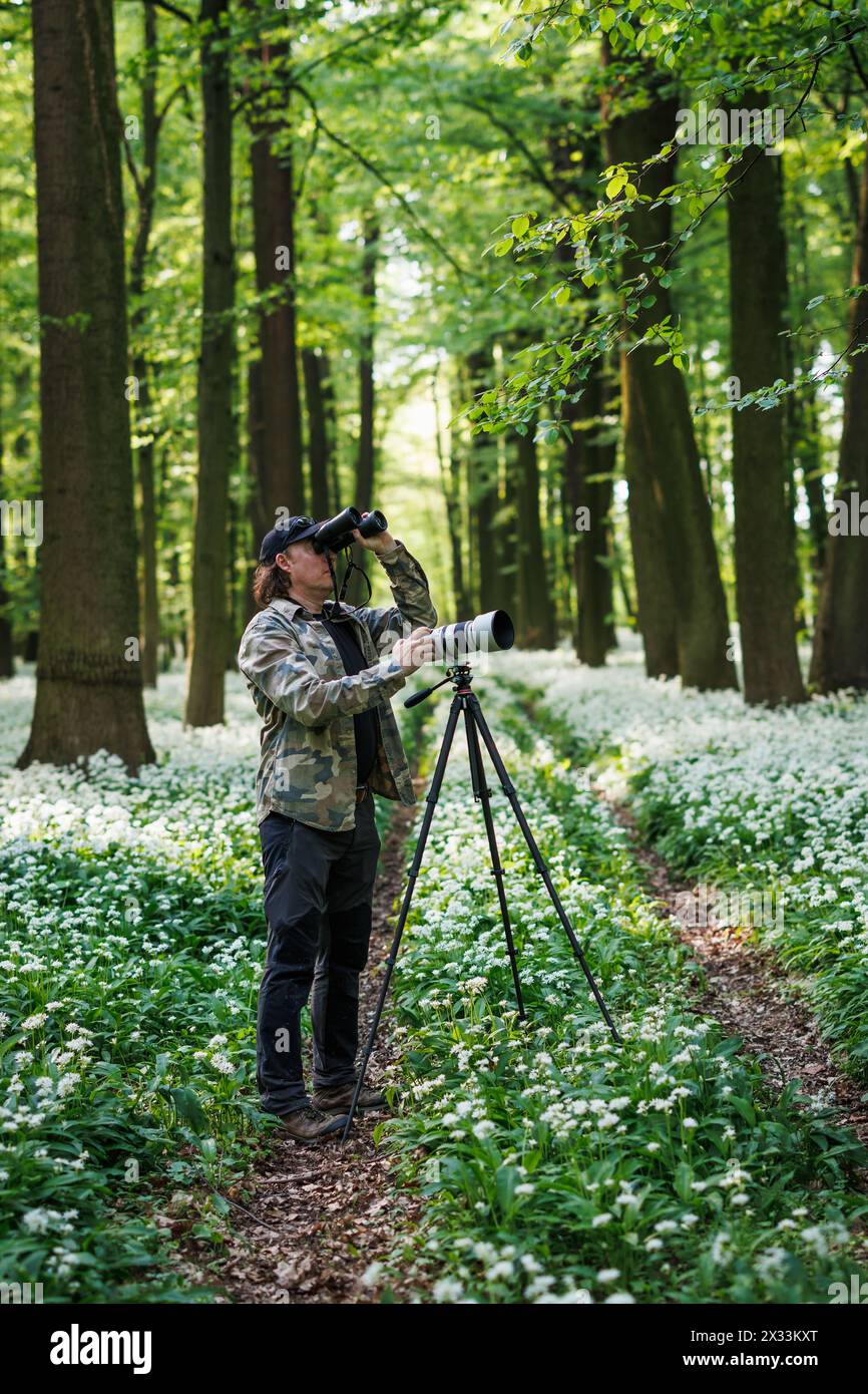 Wildlife photographer is bird watching in forest. Man with binoculars ...